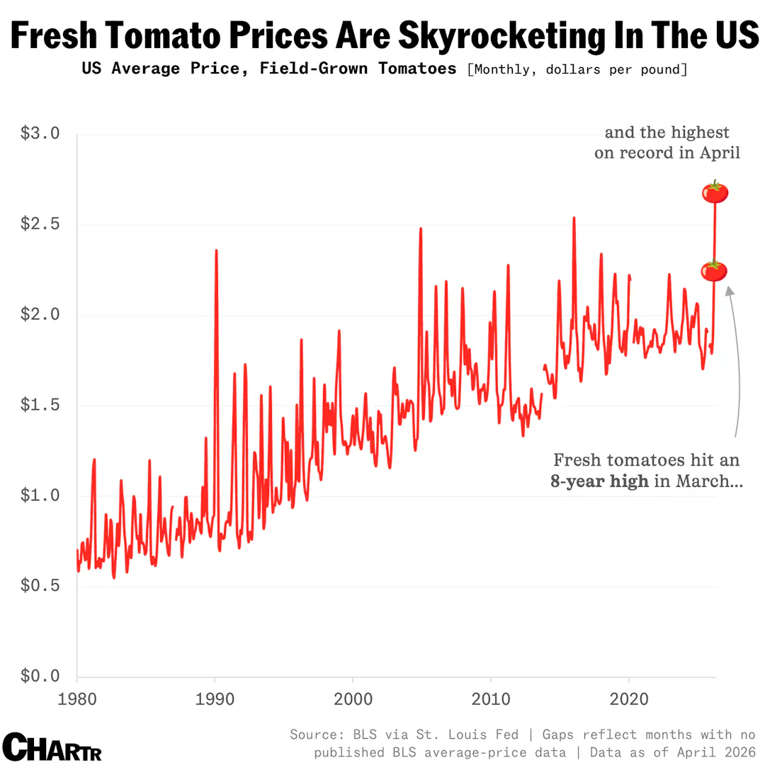 Fresh tomato prices surged 40% in April as supply shocks mount ...