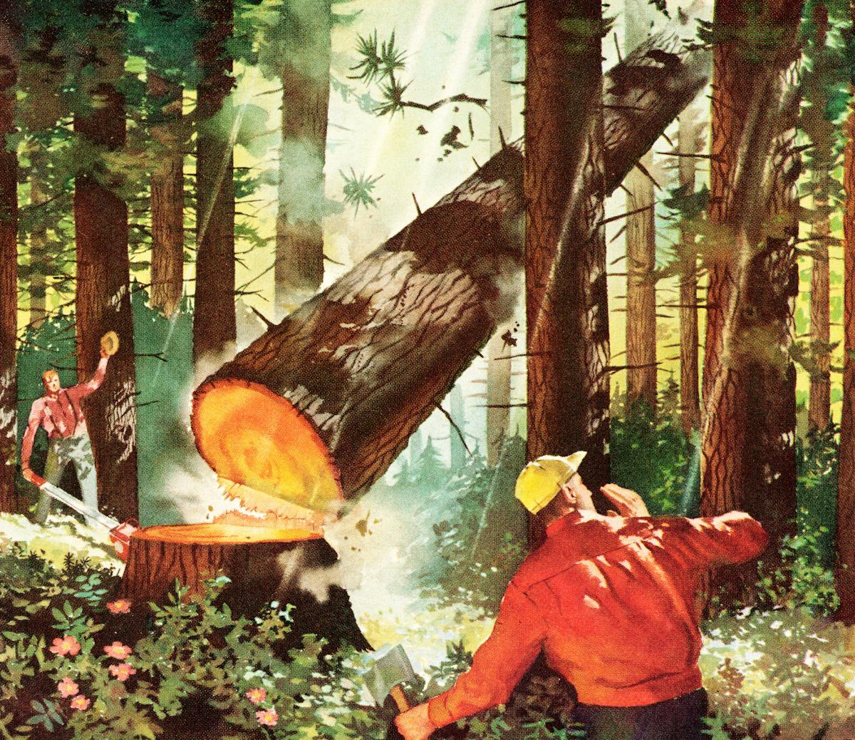 Momentum works to the downside too - Sherwood News