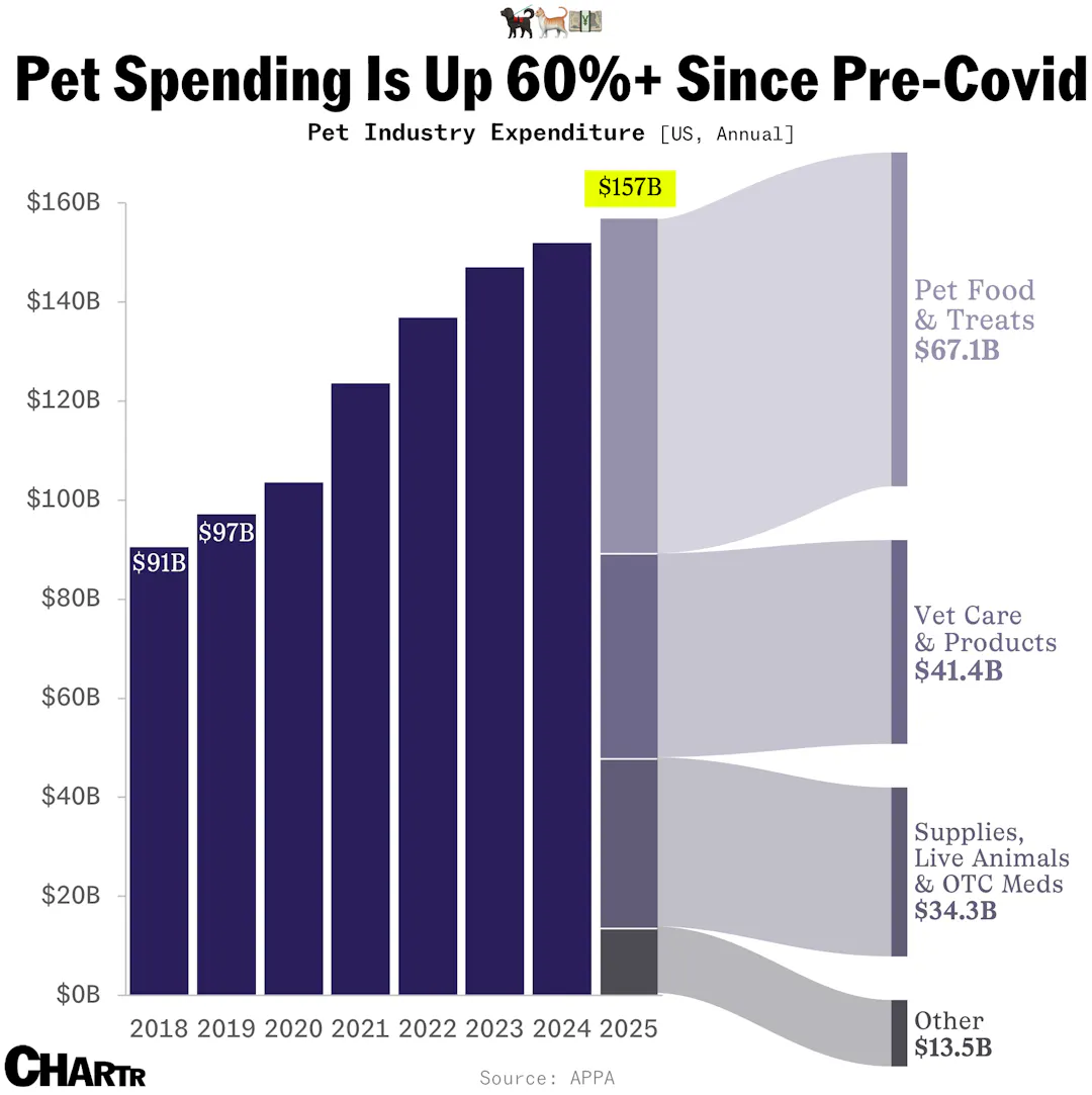 Pet spending has soared since Covid, but some Americans can’t afford to ...