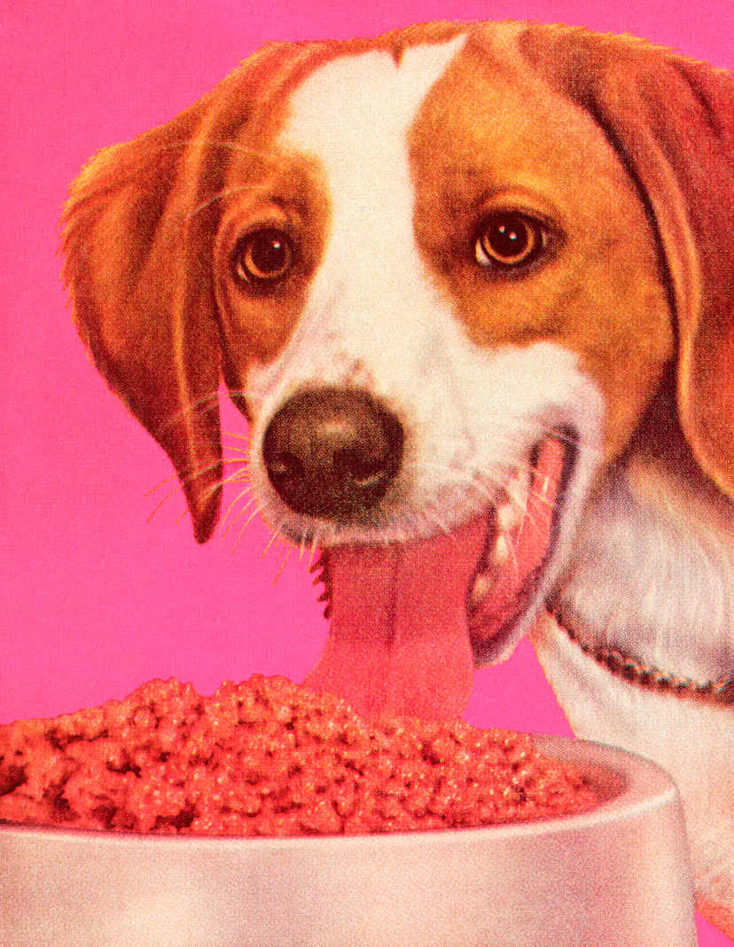 Big Tech’s strategy for selling AI: Dogfooding - Sherwood News