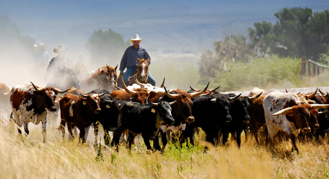 One of Wall Street’s biggest bulls on what to expect in 2026 - Sherwood ...