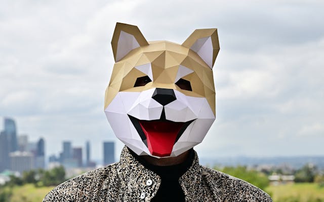 Doge is pumping, but doge ETFs are flopping - Sherwood News